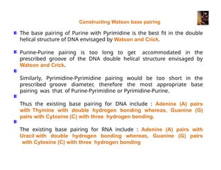 1704 PPt Pawan BhanwarNuclic acid chemistry ppt - Copy 2.pptx