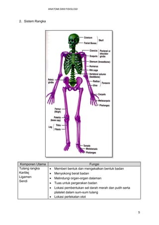 17063143 pengenalan-anatomi-dan-fisiologi | DOC