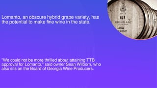 Cloudland Vineyards and Winery Gets Lomanto Grape TTB Approved, Makes Georgia History | PPT