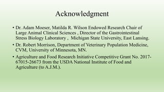 Dr. Mrigendra Rajput - Immunological Basis of Sow Feedback Programs | PPT