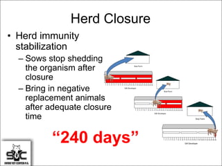 Dr. Paul Yeske - A Survival Analysis of Mycoplasma hyopneumoniae ...