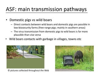Dr. Andres Perez - The Latest Information about African Swine Fever in ...