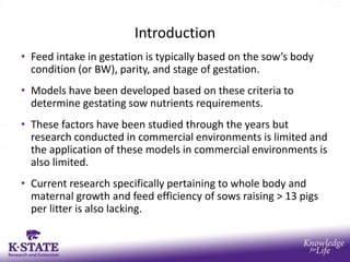 Lori Thomas - The Effect of Parity and Stage of Gestation on Whole Body ...