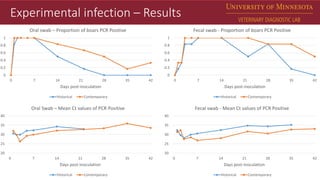 Dr. Matt Sturos - Senecavirus A Infection in Boars | PPT | Free Download