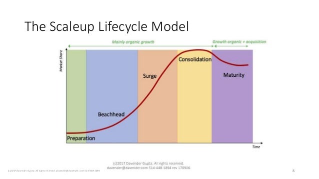 StrategyFest - What is a Scaleup and the Scaleup Lifecycle Model