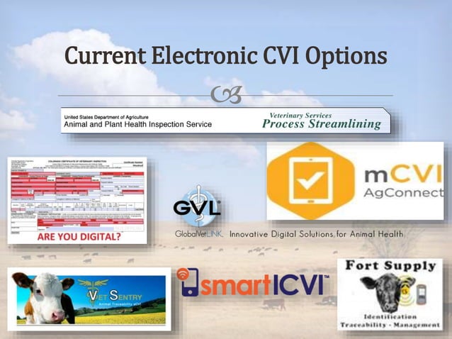 Dr. Keith Roehr - Alternative Movement Documents | PPTX