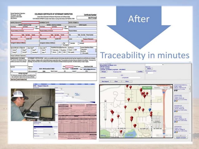 Dr. Keith Roehr - Alternative Movement Documents | PPTX