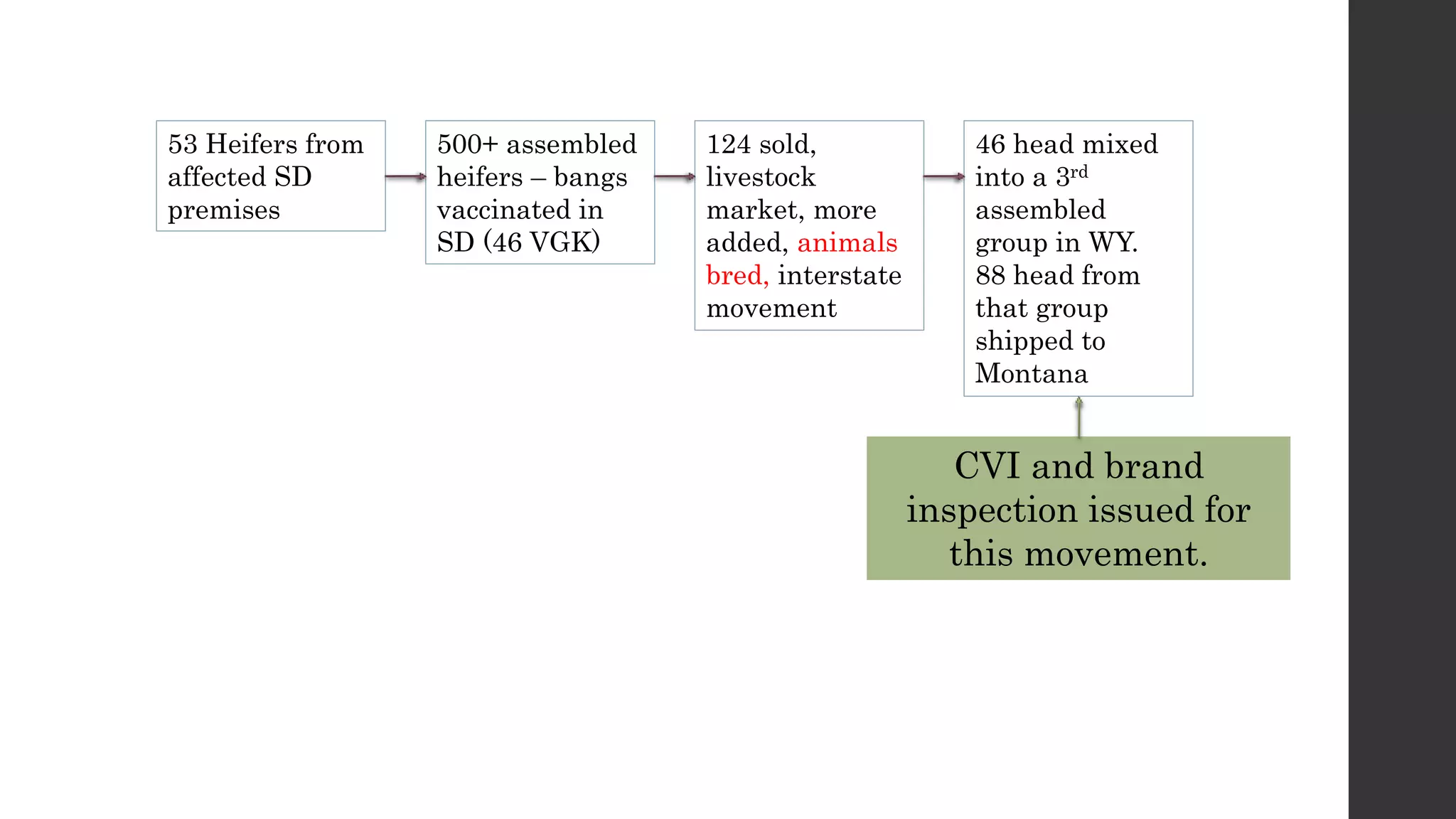 Dr. Marty Zaluski - Alternative Movement Documents | PPT