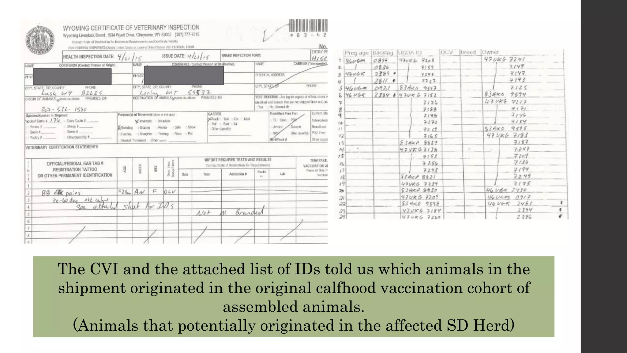 Dr. Marty Zaluski - Alternative Movement Documents | PPT
