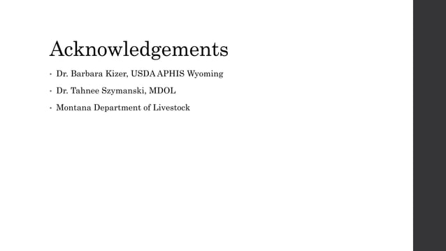 Dr. Marty Zaluski - Alternative Movement Documents | PPT