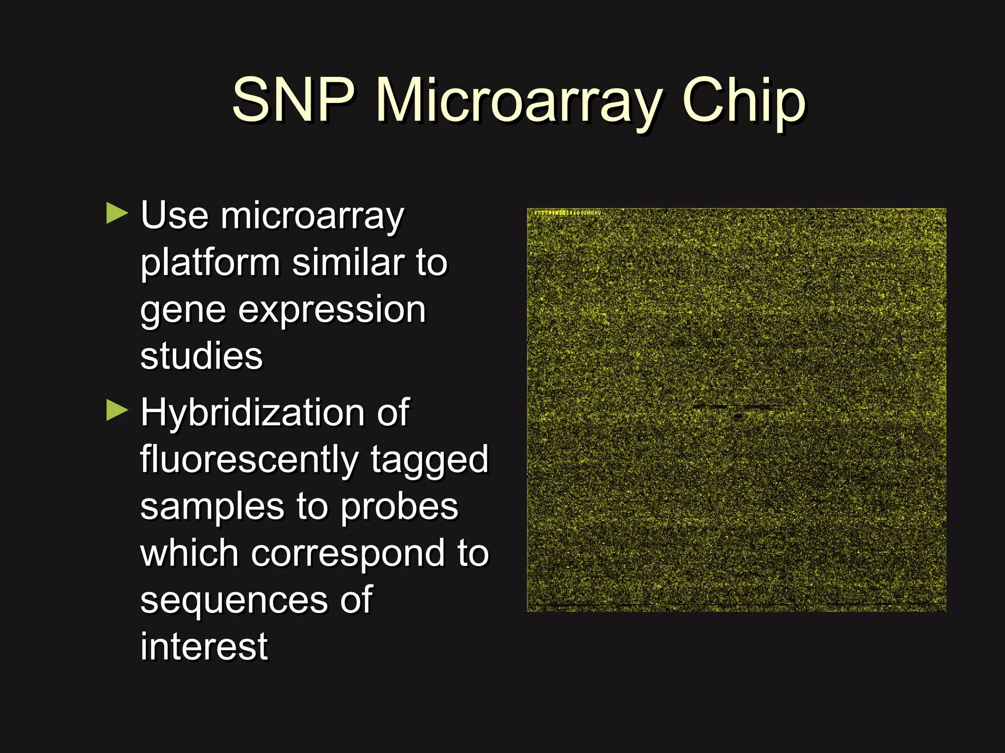 Single Nucleotide Polymorphism | PPT