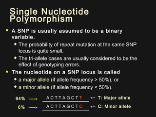 Single Nucleotide Polymorphism | PPT