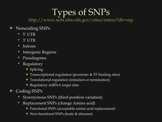 Single Nucleotide Polymorphism | PPT