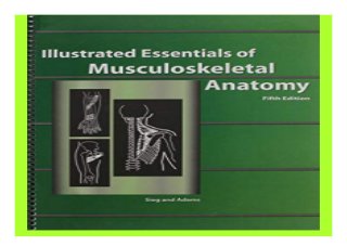 Illustrated Essentials of Musculoskeletal Anatomy book 567