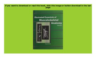 Illustrated Essentials of Musculoskeletal Anatomy book 567