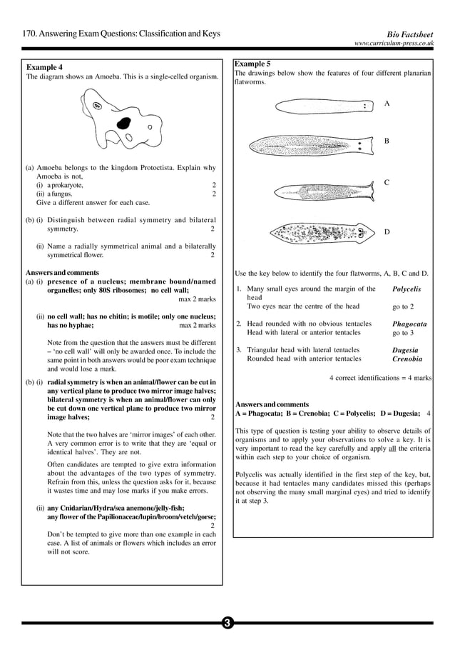 classification and keys | PDF | Educational Assessment | Education