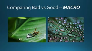 Digital Photography - Final Project Overview.pptx