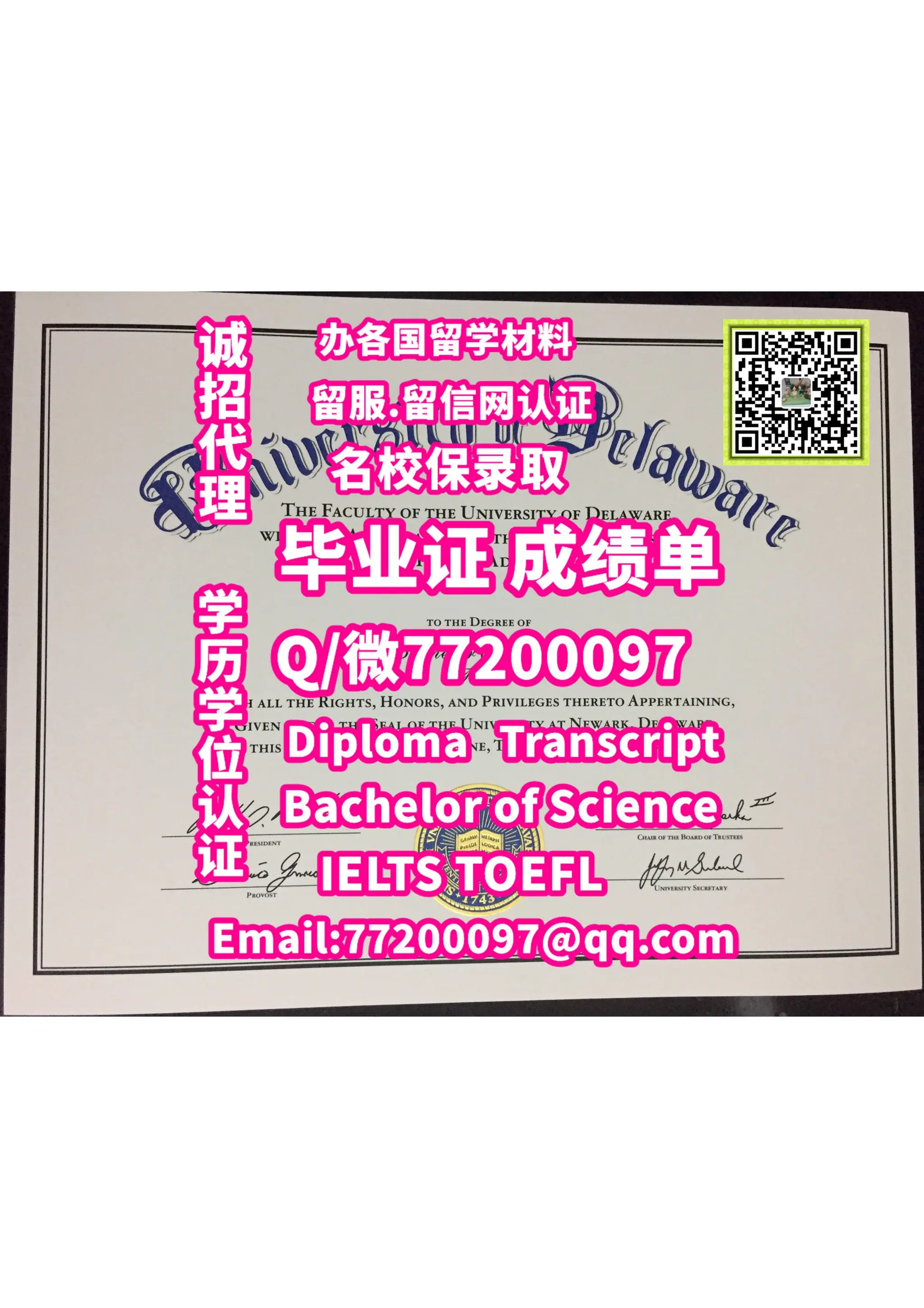 有UDel硕士学历 | PDF
