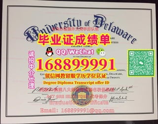 美国UDel文凭 | PDF