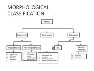 Iron Deficiency Anemia And Classification of Anaemia | PPTX | Blood ...