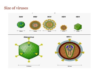 VIRUSES structure and classification and | PPTX