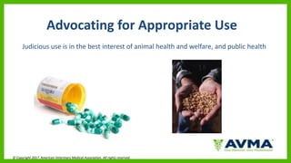 Dr. Michael Costin - Antibiotic Stewardship Update Progress | PPTX