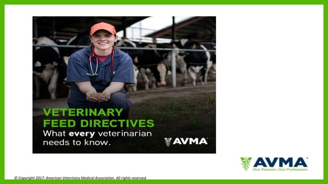 Dr. Michael Costin - Antibiotic Stewardship Update Progress | PPT