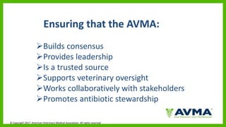 Dr. Michael Costin - Antibiotic Stewardship Update Progress | PPTX