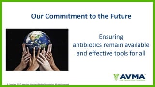 Dr. Michael Costin - Antibiotic Stewardship Update Progress | PPTX