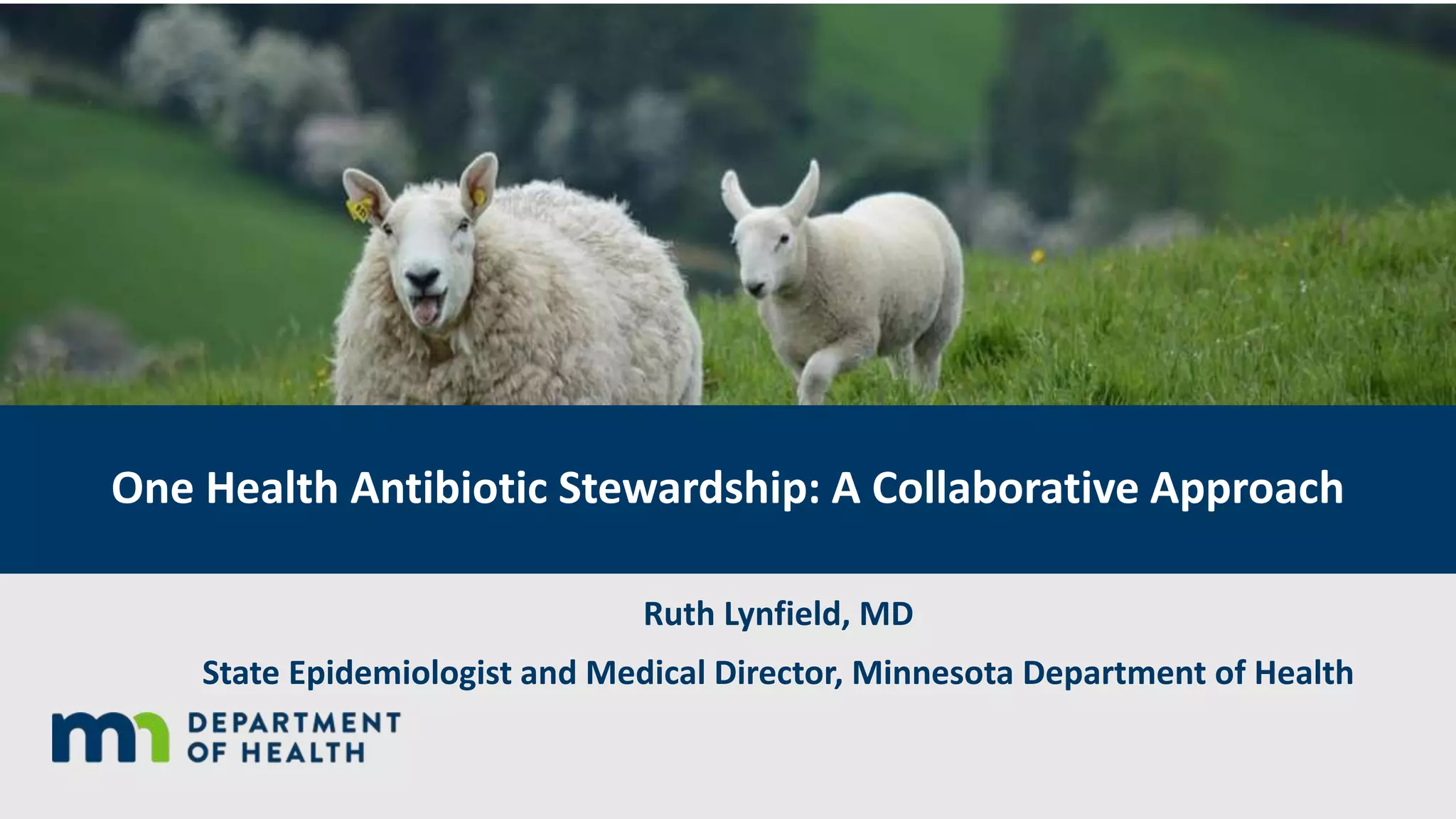 Dr. Ruth Lynfield - One Health Antibiotic Stewardship: A Collaborative ...