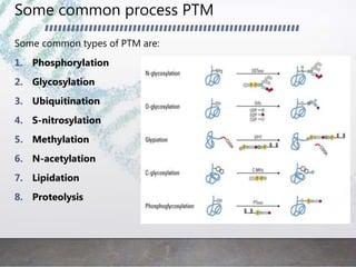 Central dogma in molecular biology | PPT