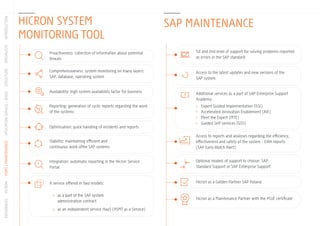 Comprehensive Support for SAP Systems | PDF