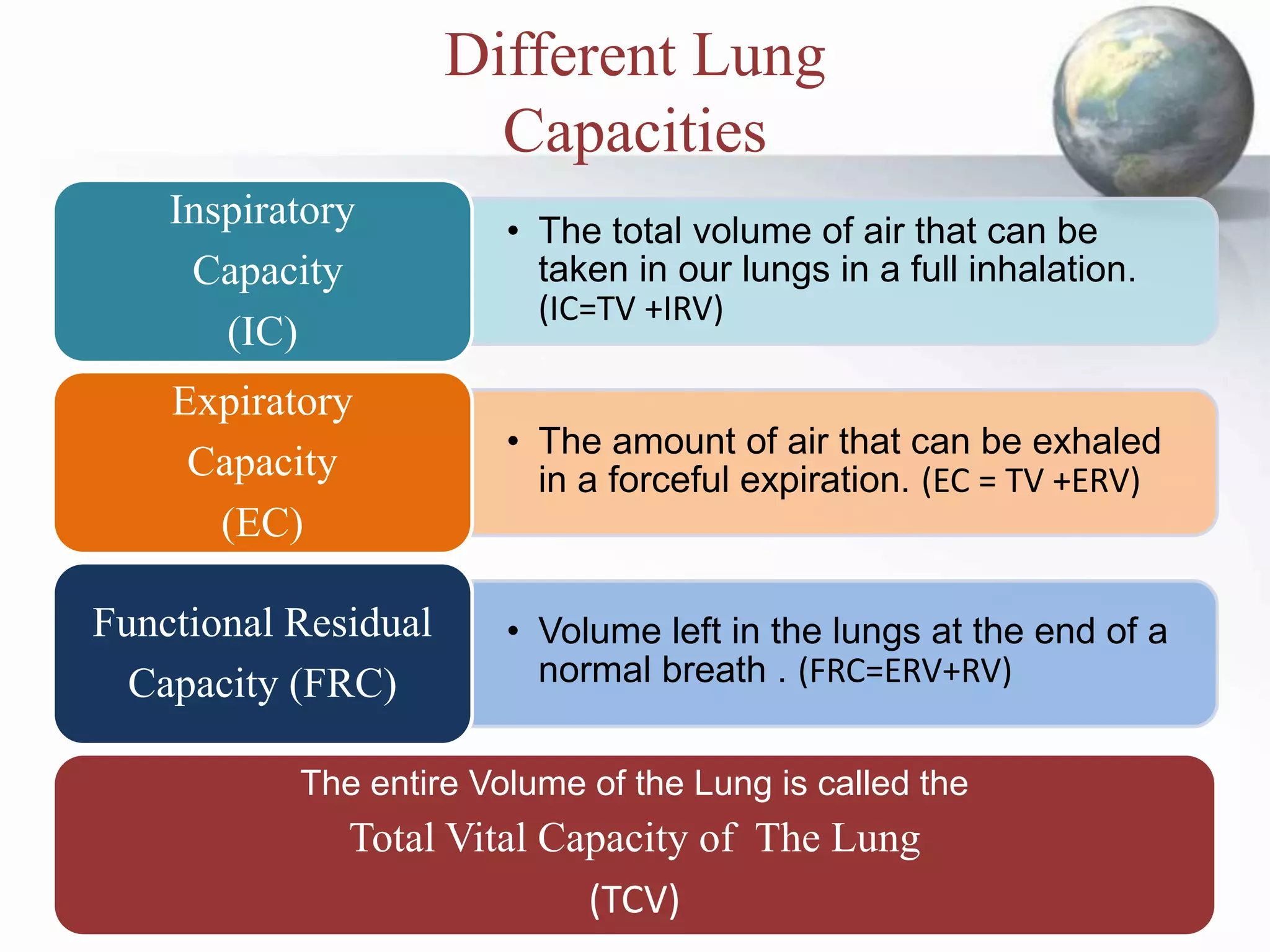 Respiratory system: Pulmonary Volume and Capacity | PPTX