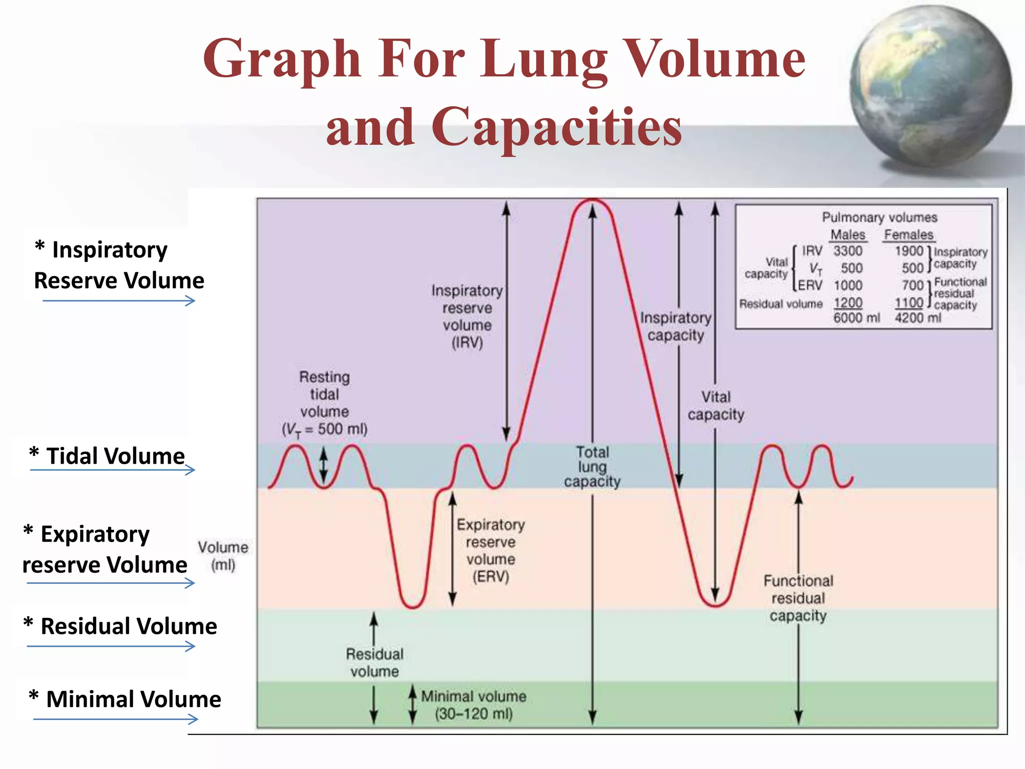 Respiratory system: Pulmonary Volume and Capacity | PPTX