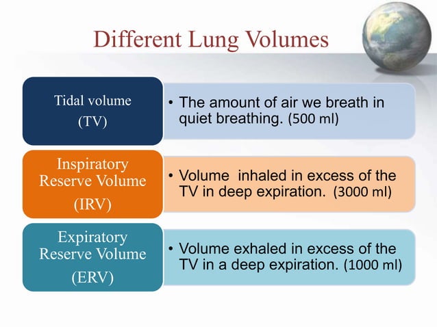Respiratory system: Pulmonary Volume and Capacity | PPTX