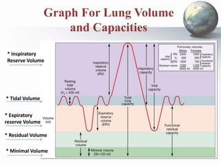 Respiratory system: Pulmonary Volume and Capacity | PPTX