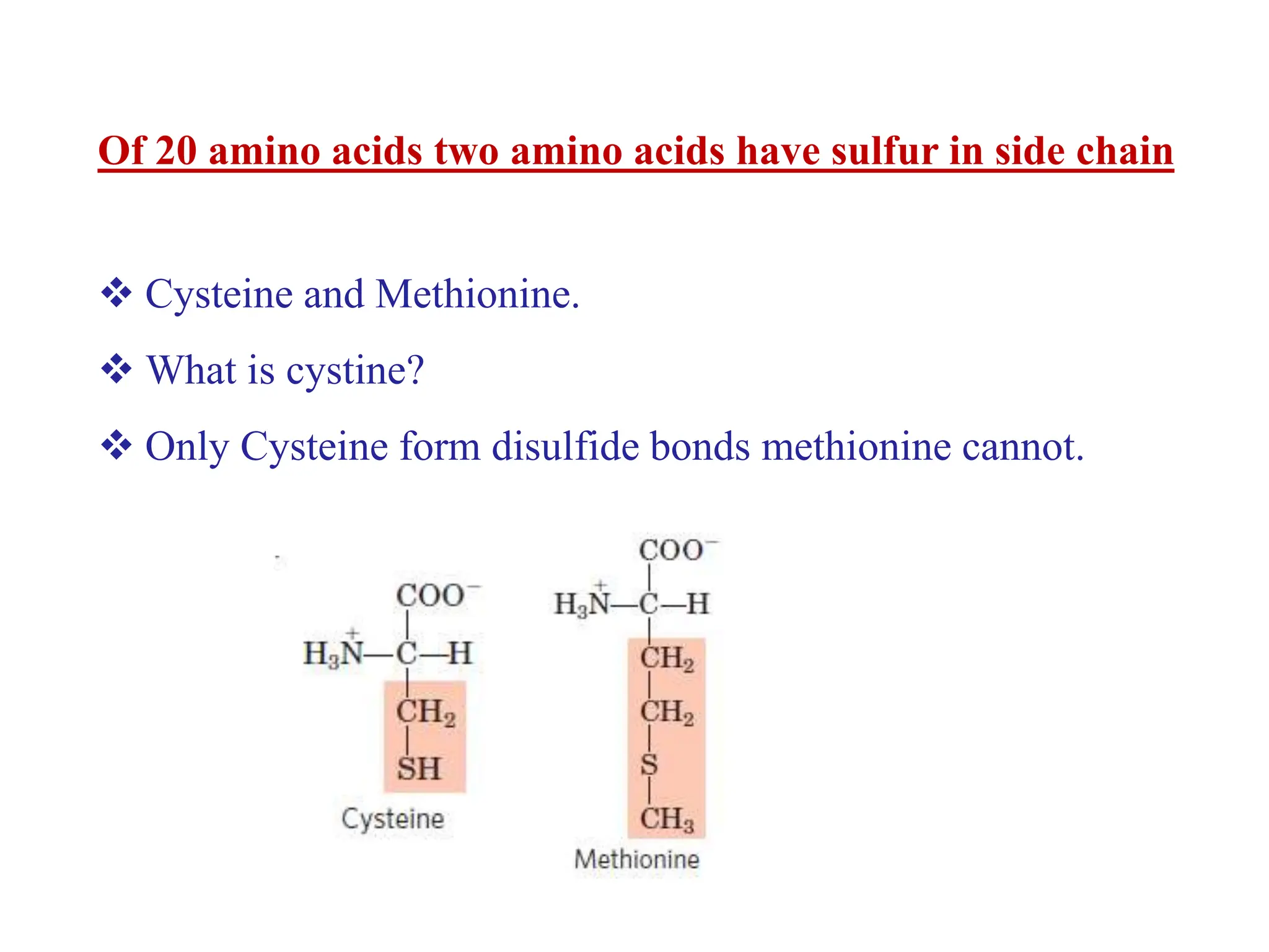 1711607810537_3- Amino Acids.ppt56tyyyyy | PPT