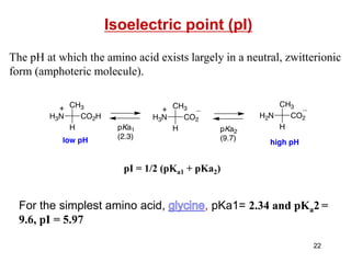 1711607810537_3- Amino Acids.ppt56tyyyyy | PPT