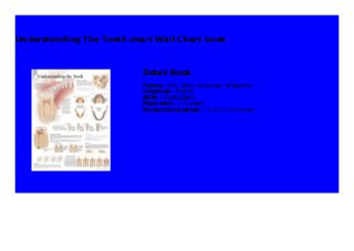 Understanding The Teeth chart Wall Chart book 114