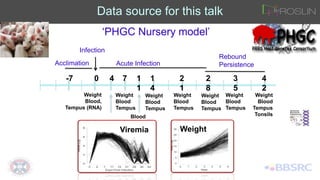 Dr. Andrea Wilson - New PRRS disease phenotypes as vaccine and genetic ...