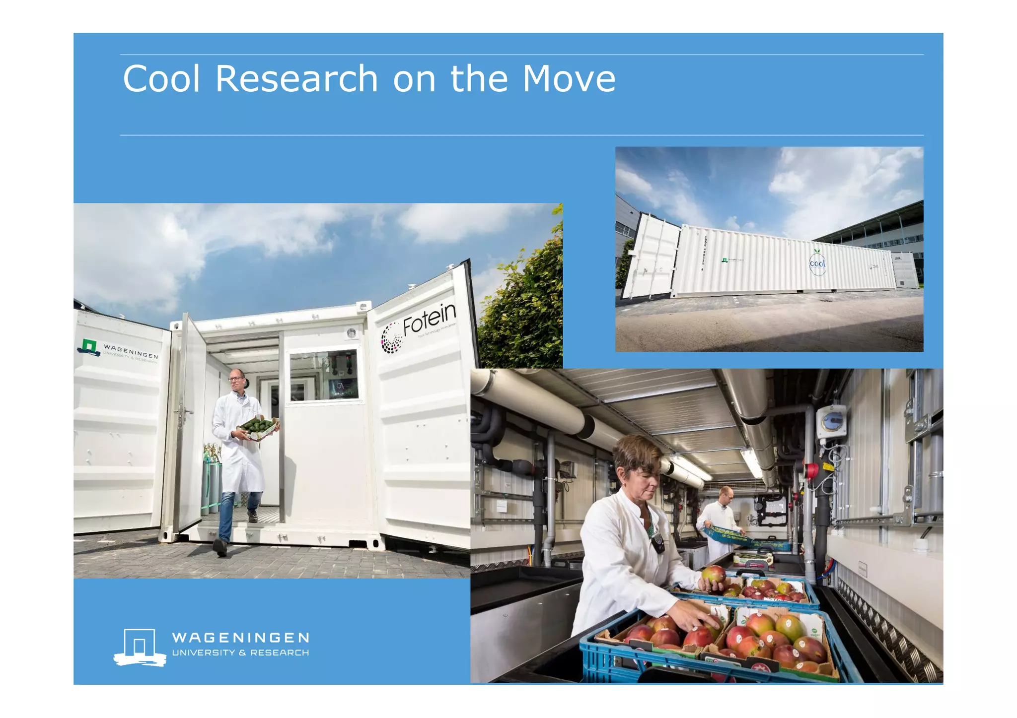 Post-harvest management: Value chain perspective on economically and ...
