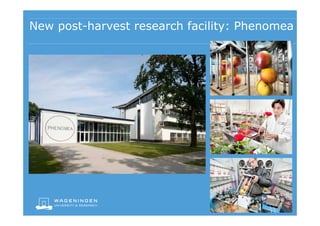 Post-harvest management: Value chain perspective on economically and ...