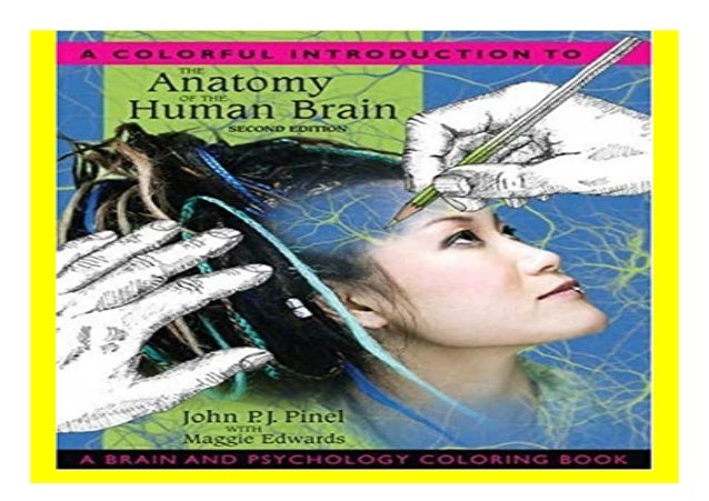 A Colorful Introduction to the Anatomy of the Human Brain A Brain and ...