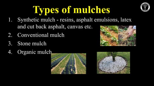 Rearing technique of lac insect and their management | PDF