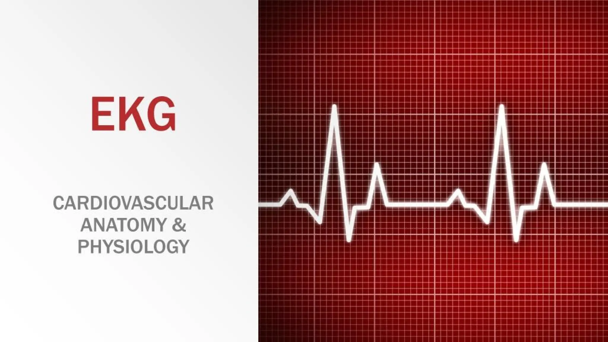 ECG interpretation Cardiovascular Anatomy and Physiology | PPT