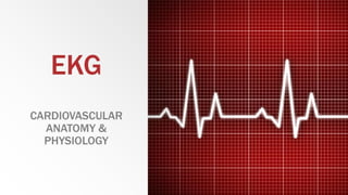 ECG interpretation Cardiovascular Anatomy and Physiology | PDF