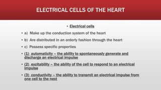 ECG interpretation Cardiovascular Anatomy and Physiology | PDF