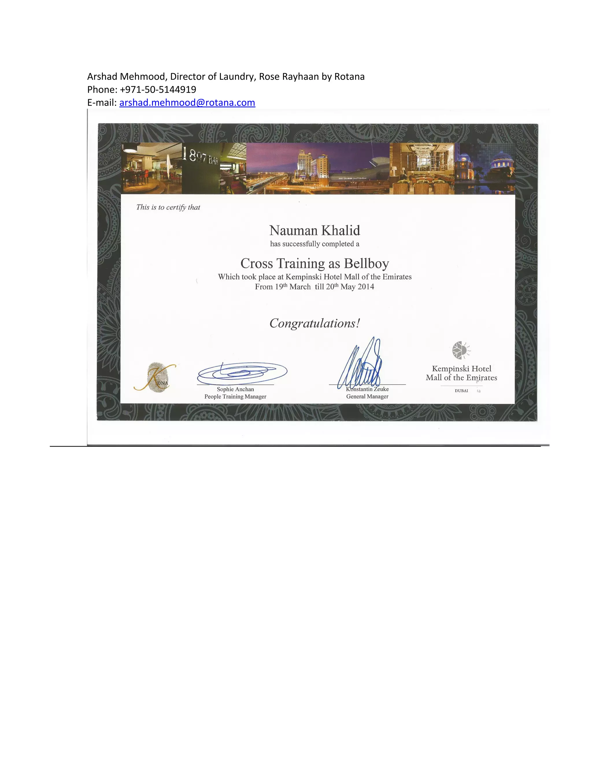 Updated CV-Nauman | PDF