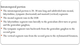 1716515583313_Facial Nerve Landmarks in ENT-HNS.pptx