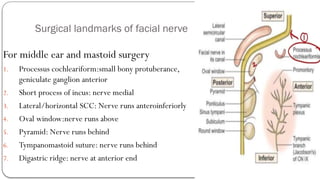 1716515583313_Facial Nerve Landmarks in ENT-HNS.pptx